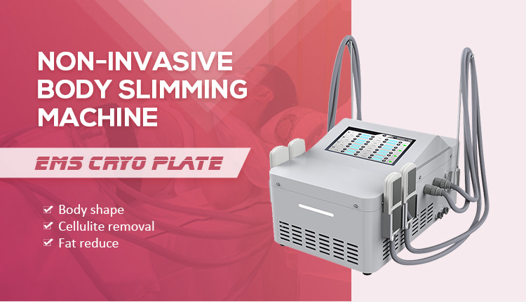 Cryo Ems Machine Tech Fat Freezing Electroporation Body Slimming from ...