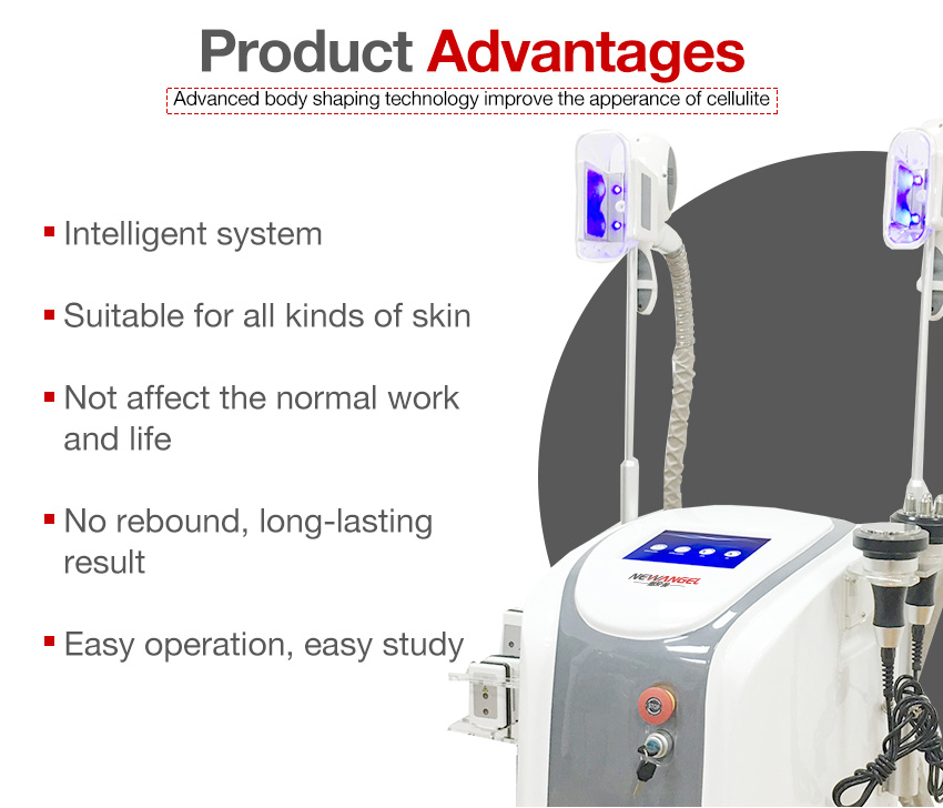 Freeze belly fat cost machine beauty weight loss cheap